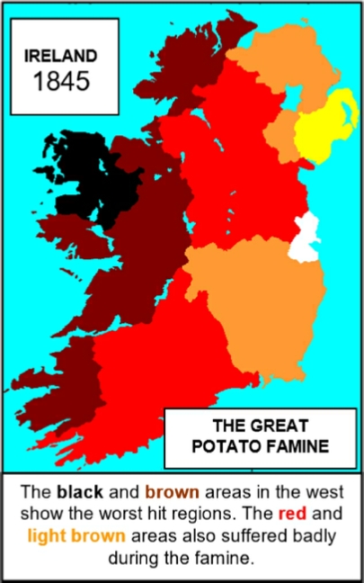 THE GREAT POTATO FAMINE IN IRELAND 1845 - 1852 (Va)